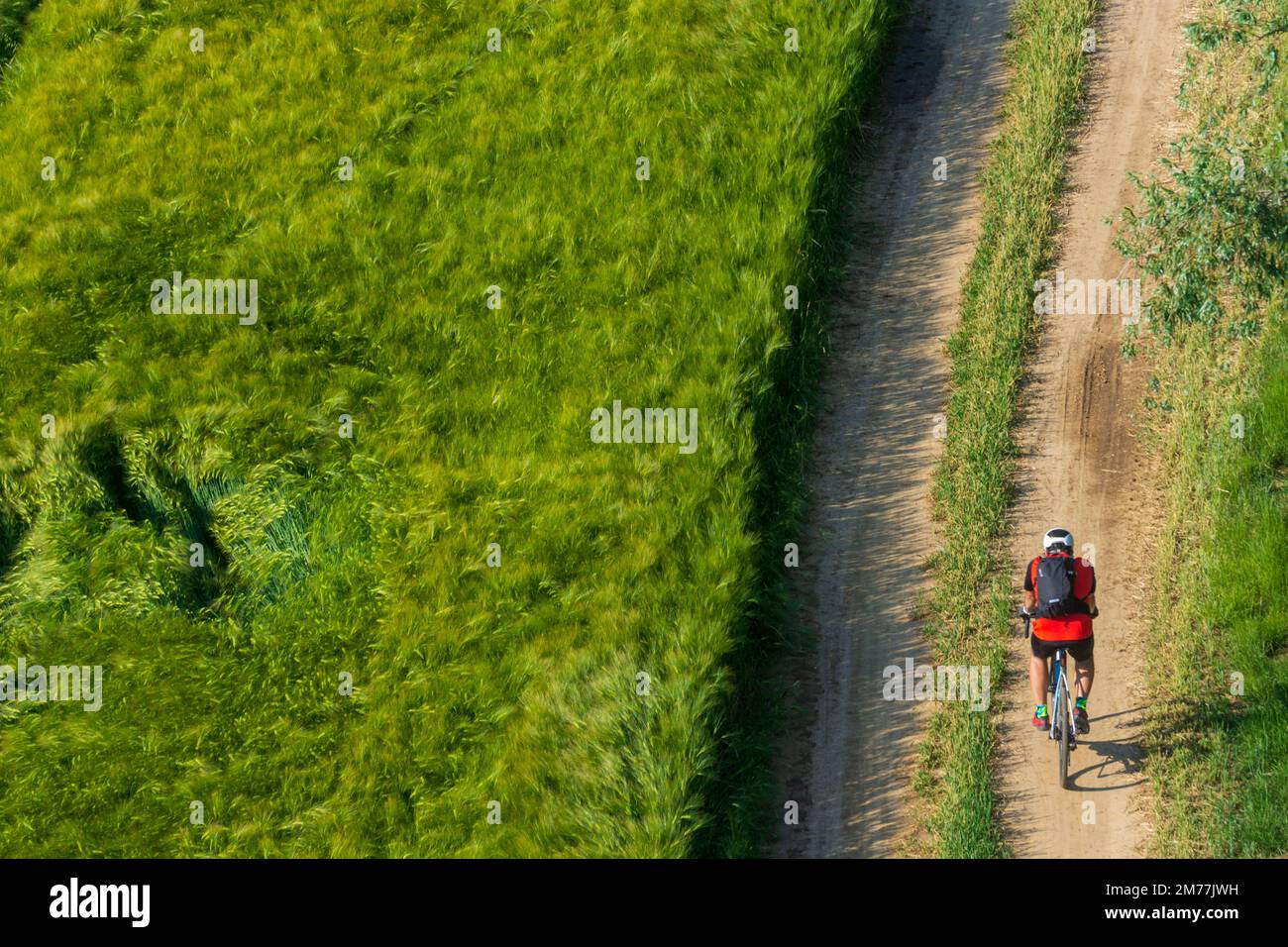 Radfahrer feld -Fotos und -Bildmaterial in hoher Auflösung – Alamy