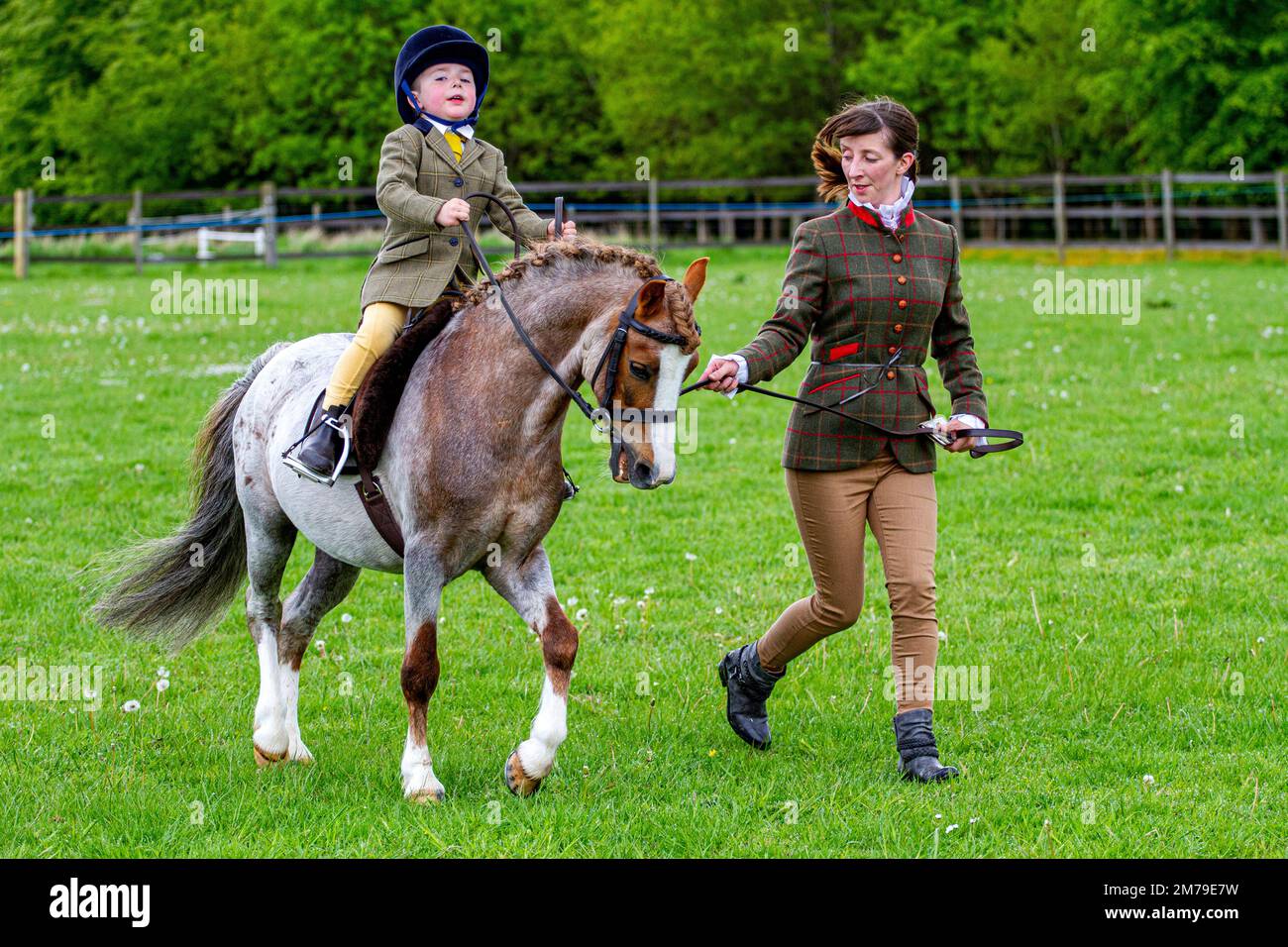 Das 2017 Inchcoonans Equestrian Premier Competition Yard & Livery ...