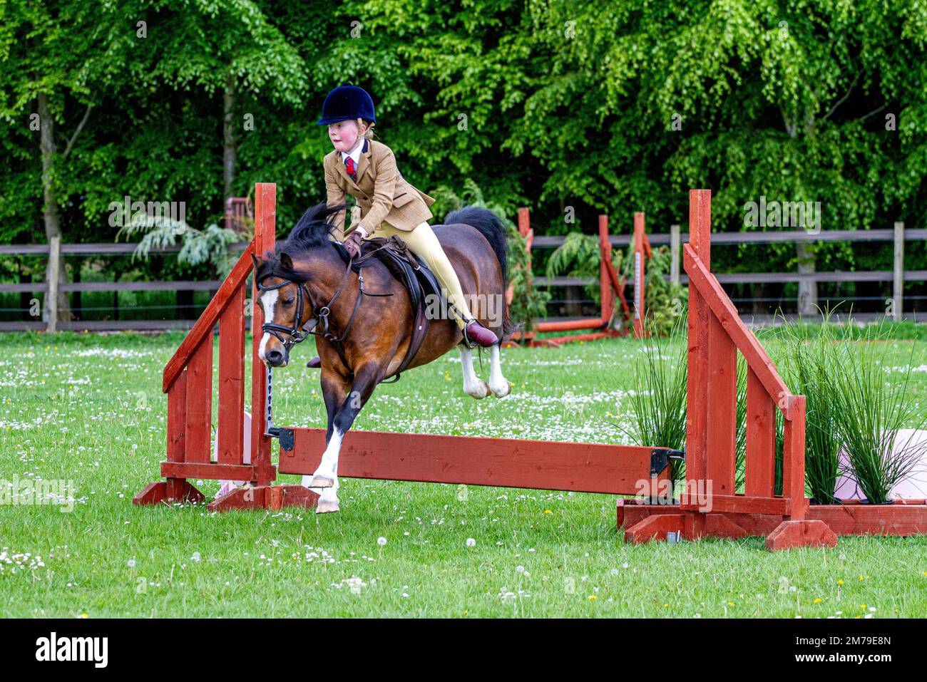 Das 2017 Inchcoonans Equestrian Premier Competition Yard & Livery ...