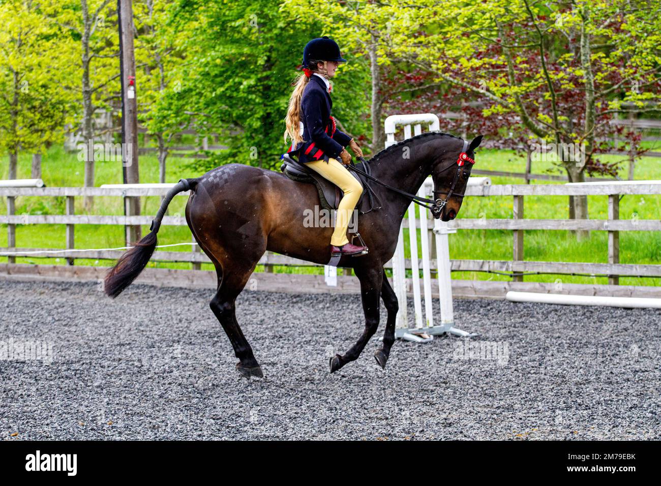 Das 2017 Inchcoonans Equestrian Premier Competition Yard & Livery ...