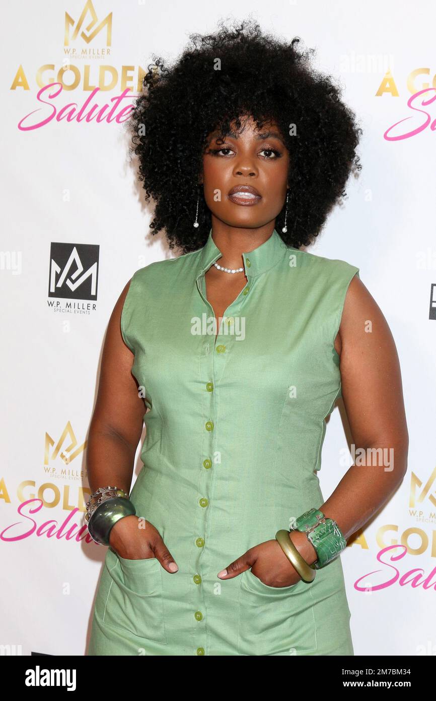 LOS ANGELES - 8. JANUAR: Novi Brown in Einem Golden Salute an Sheryl ...