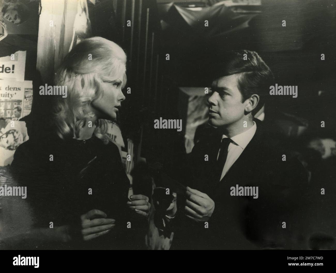 Diese art -Fotos und -Bildmaterial in hoher Auflösung – Alamy