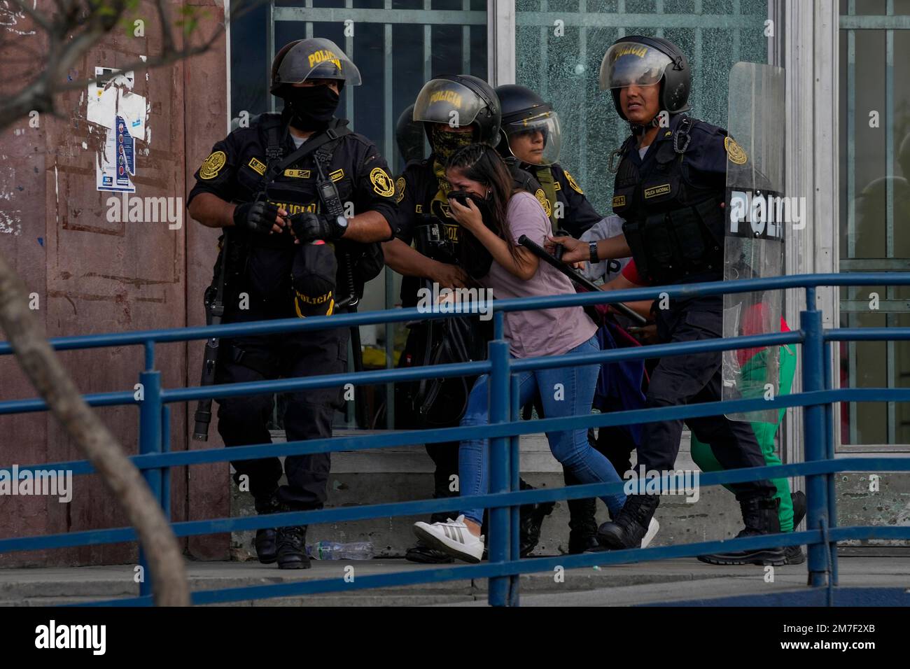 Police detain supporters of ousted President Pedro Castillo, during a ...