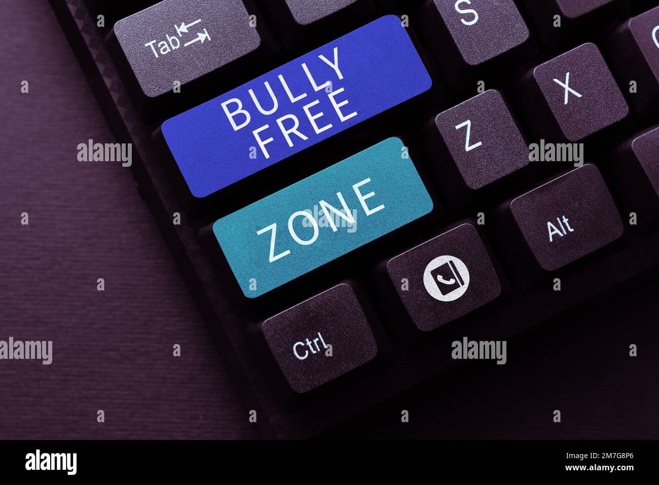 Schreiben mit Textanzeige „Bully Free Zone“. Geschäftsansatz Respekt ... Schreiben mit Textanzeige „Bully Free Zone“. Geschäftsansatz Respekt ...