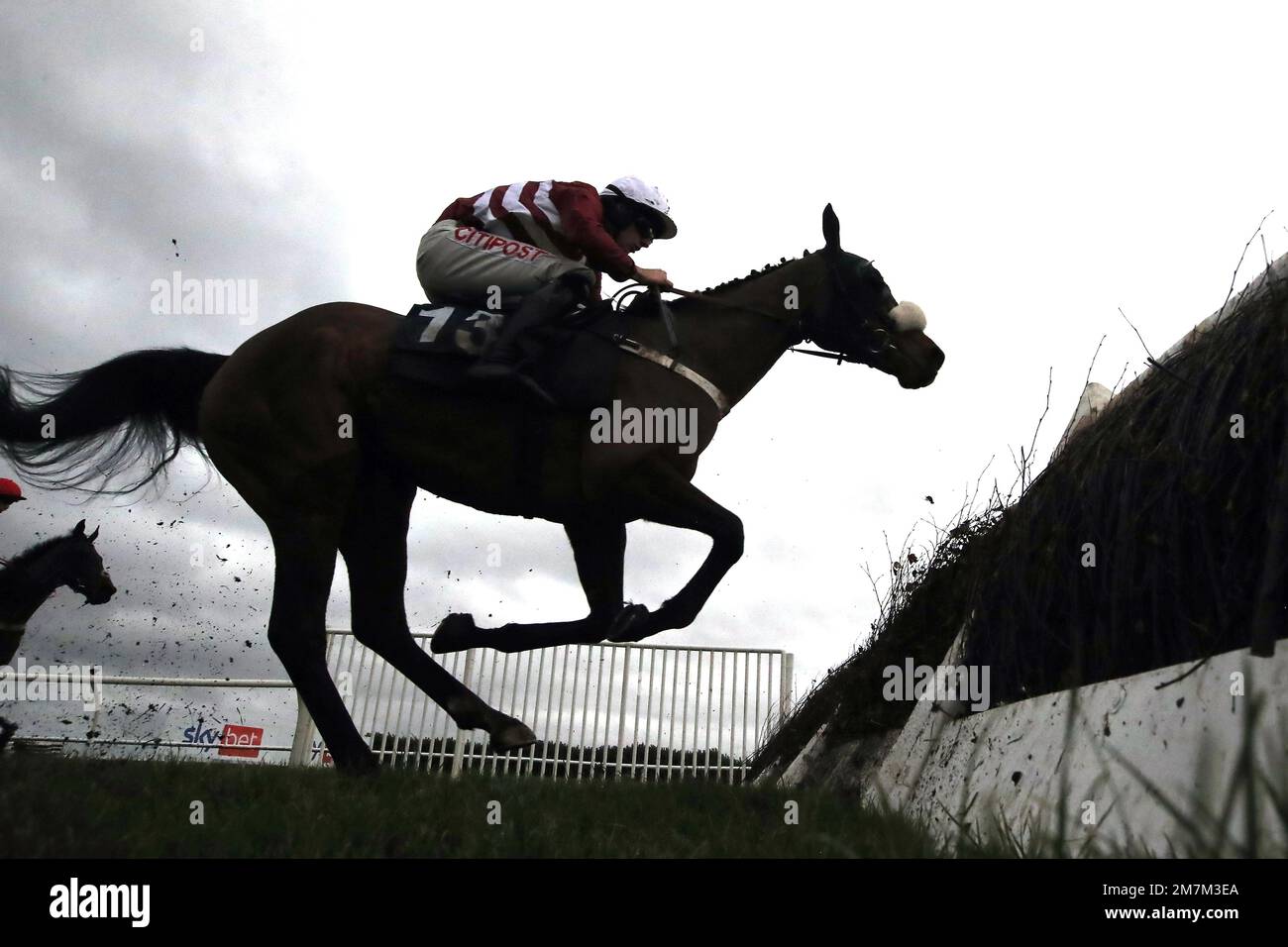 Nora, die Xplorer, geritten von Jockey Theo Gillard während der Sky Bet ...