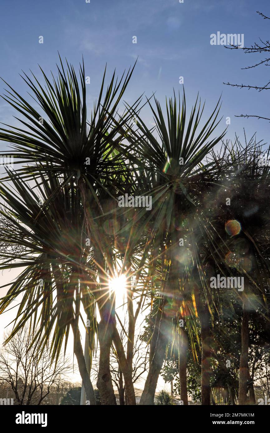 Stolz auf park award -Fotos und -Bildmaterial in hoher Auflösung – Alamy