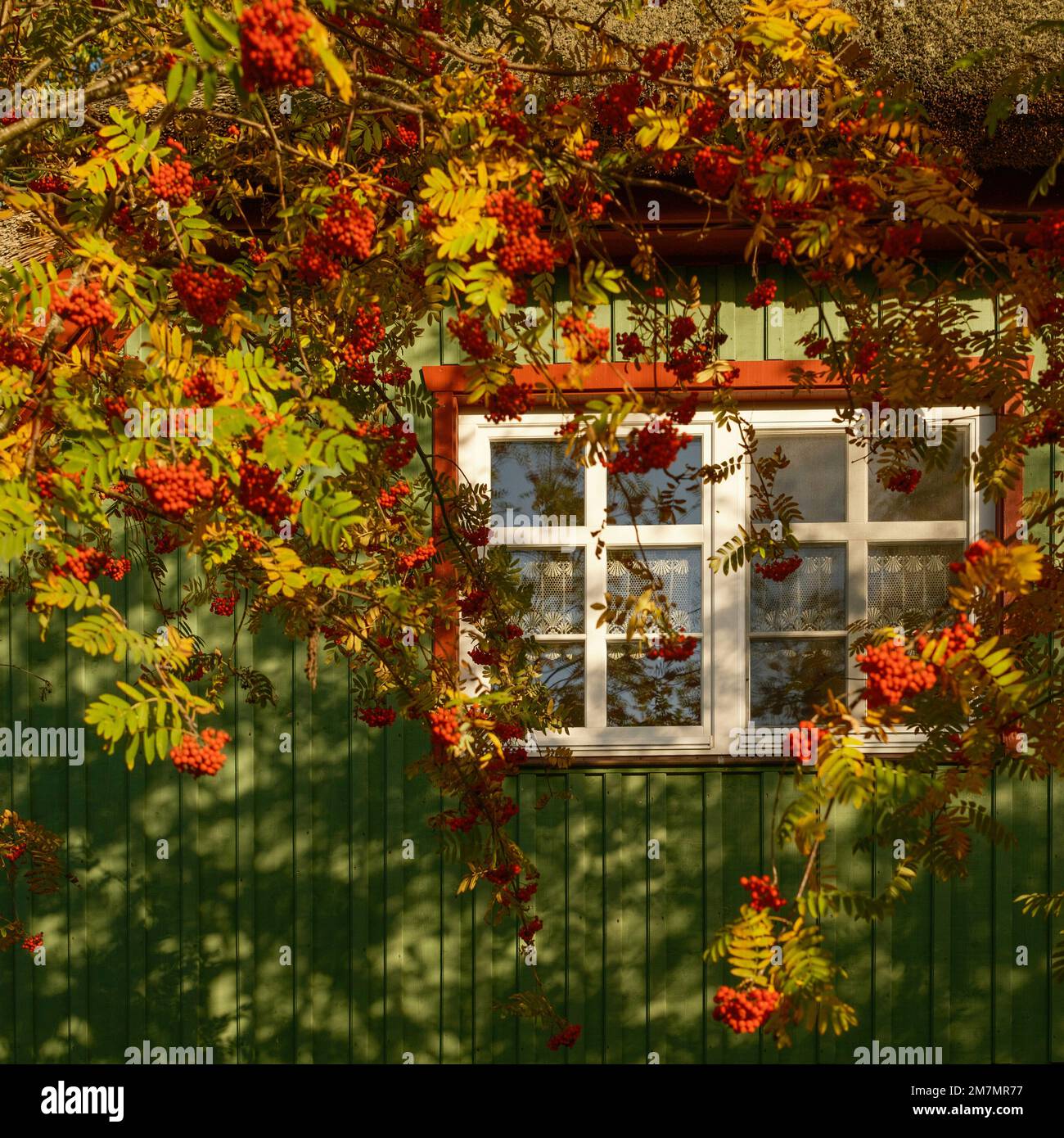 Wieck auf dem darss -Fotos und -Bildmaterial in hoher Auflösung – Alamy