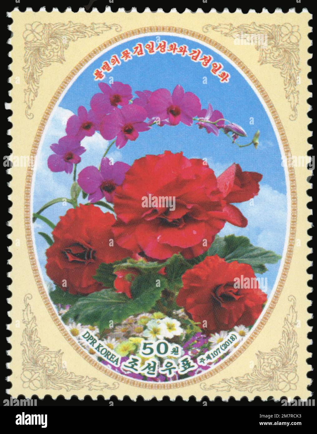 Dendrobium clara bundt -Fotos und -Bildmaterial in hoher Auflösung – Alamy