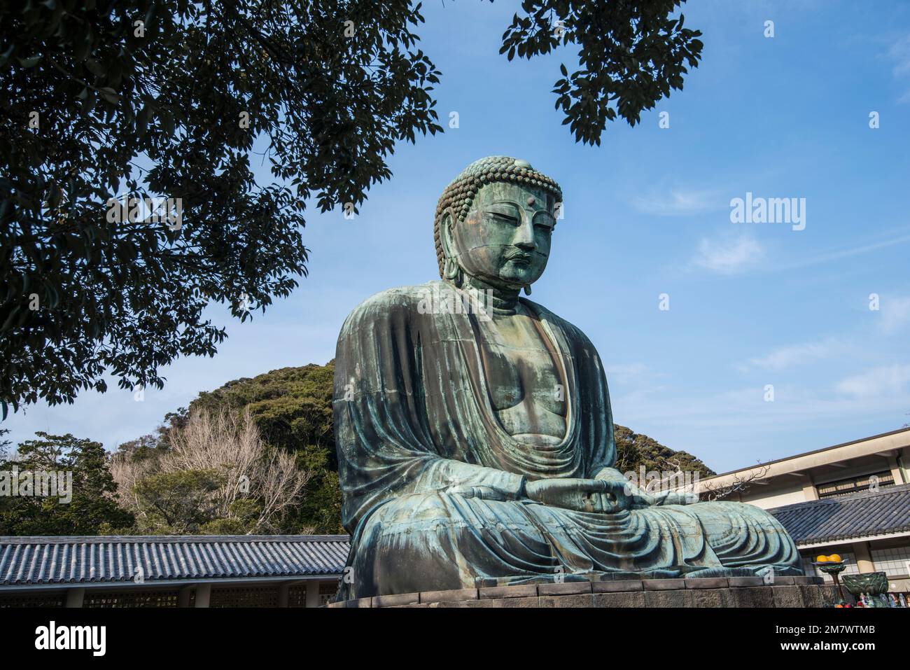 Japan, Kamakura: Bronzestatue des Großen Buddha von Kamakura, Daibutsu ...