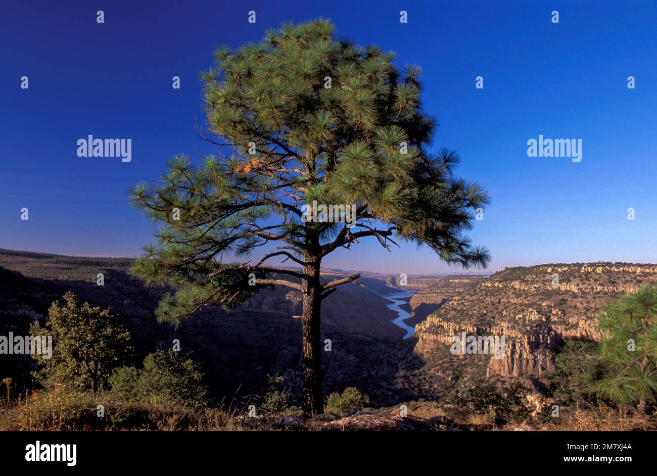 Mexiko, Durango, Sierra los Altos de Santa Isabel, Presa Guadeloupe ...