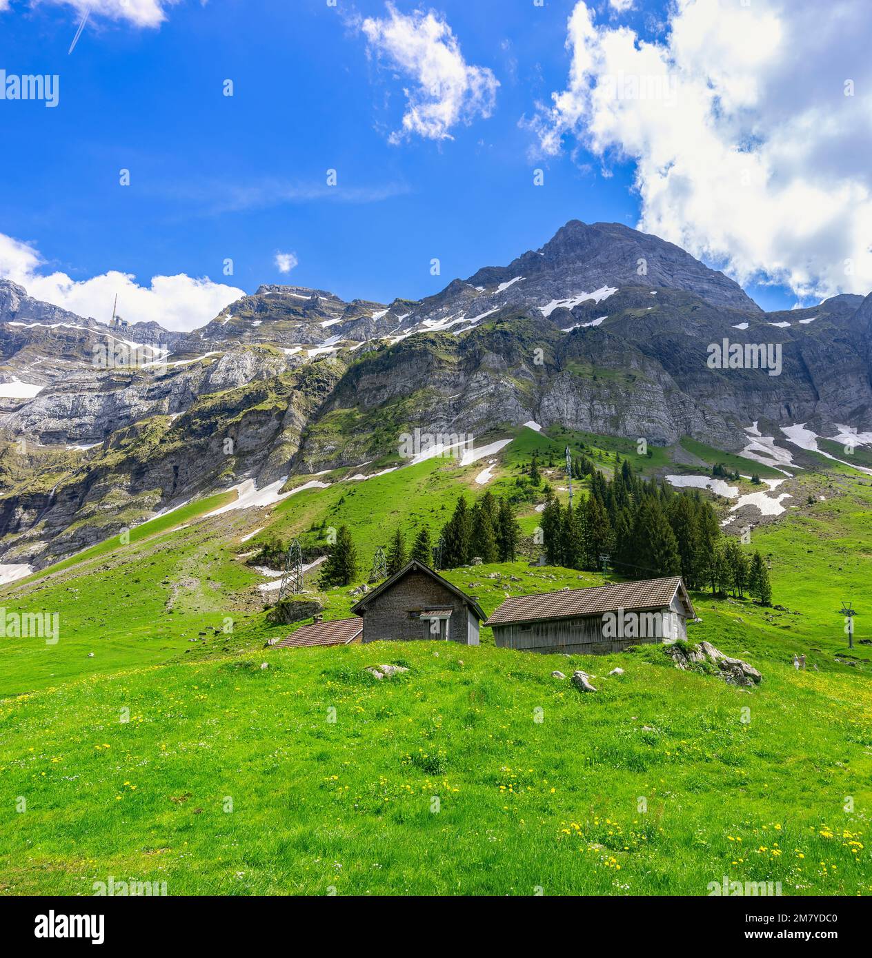 Bergpanorama am Fuße des Berges Säntis auf der Schwägalp, Appenzell ...