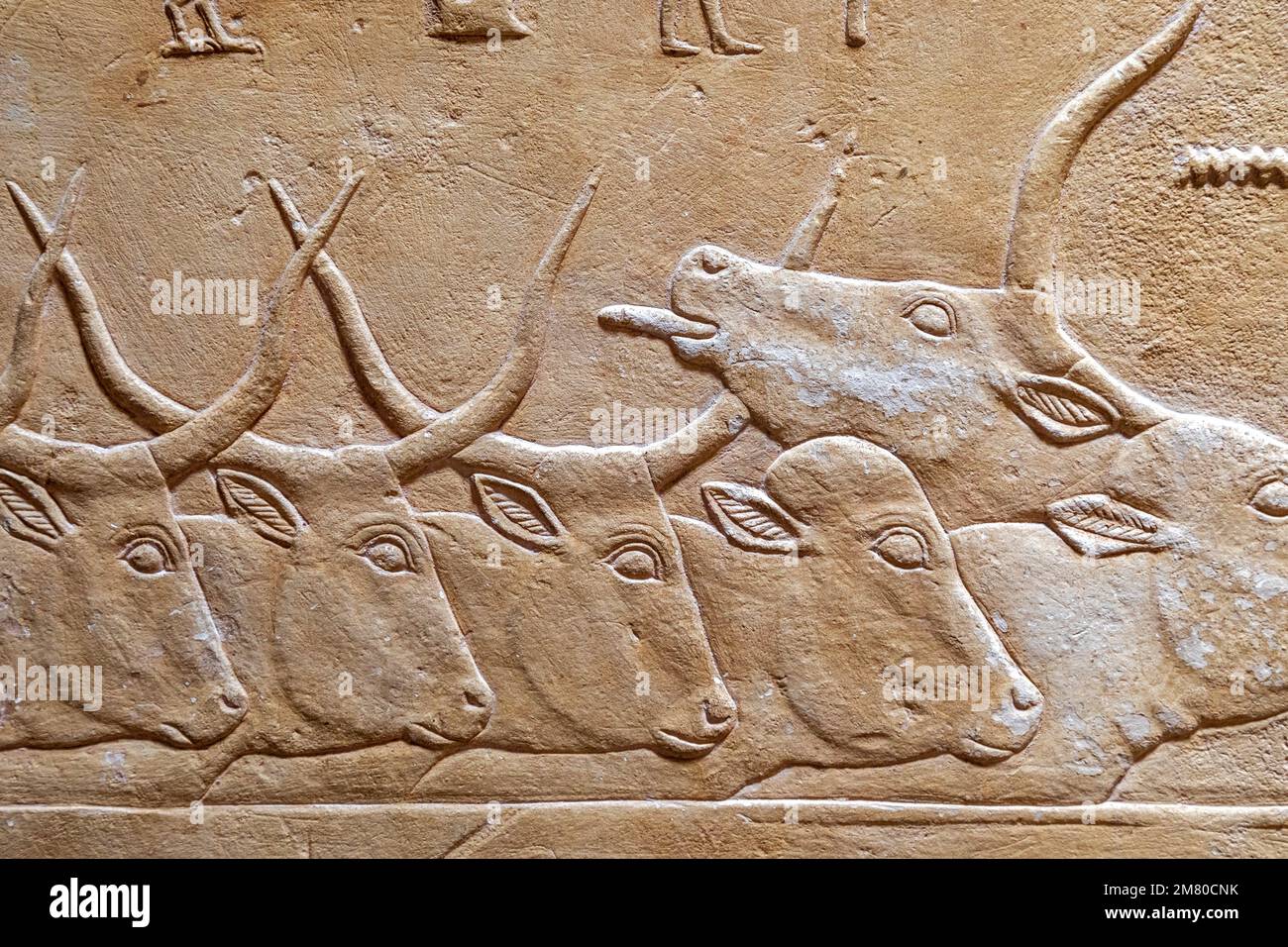 Mastaba de kagemni -Fotos und -Bildmaterial in hoher Auflösung – Alamy