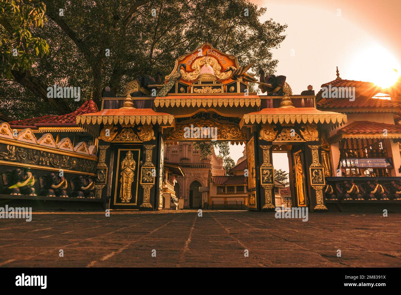 Sri lankan buddha -Fotos und -Bildmaterial in hoher Auflösung – Alamy