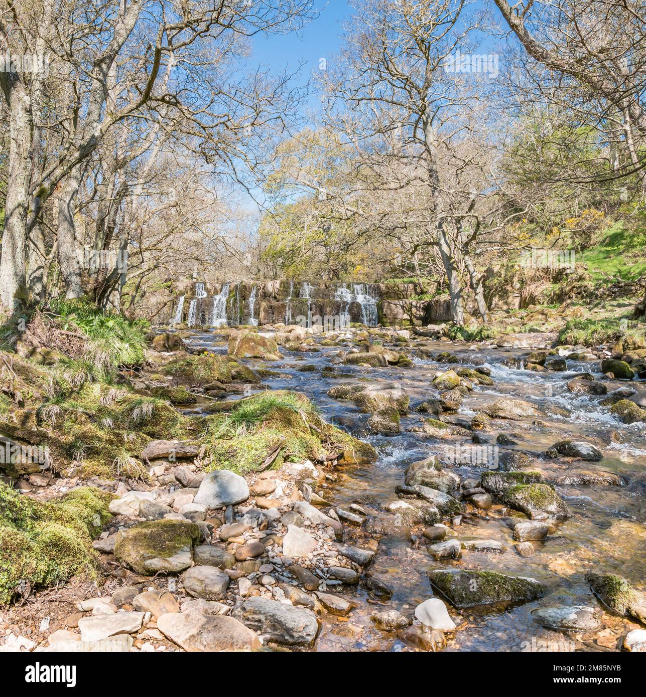 Ein schöner Wasserfall auf Marske Beck in der Nähe der Orgate Farm in ...