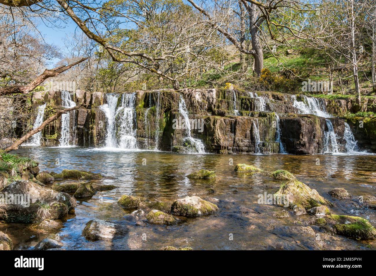 Orgate force marske -Fotos und -Bildmaterial in hoher Auflösung – Alamy