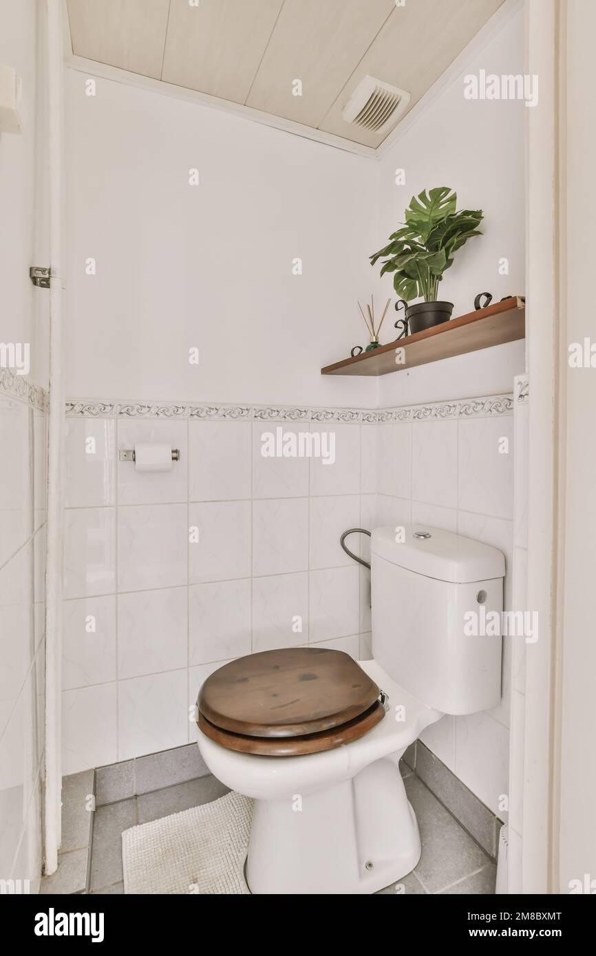 Ein kleines Bad mit Toilette und Pflanzen an der Wand über der Toilette ...