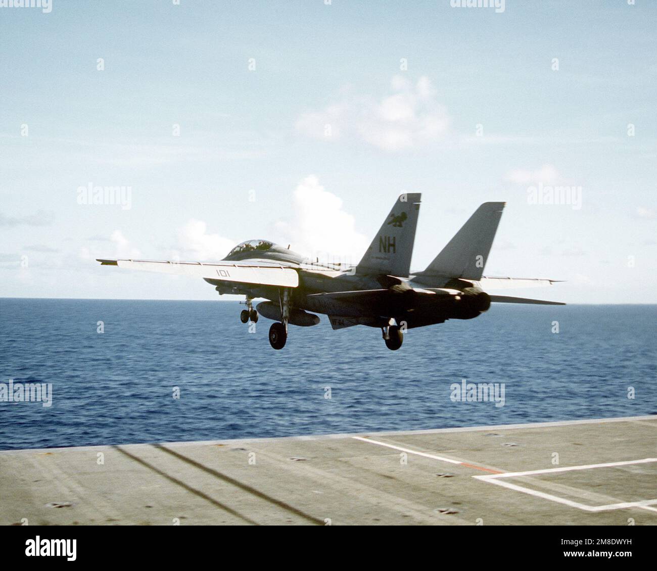 Ein Flugzeug der Fighter Squadron 114 (VF-114) F-14A Tomcat hat den Bug ...