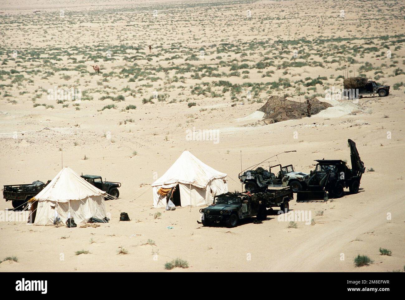 M998 während der Operation Desert Shield werden Mehrzweckfahrzeuge mit ...