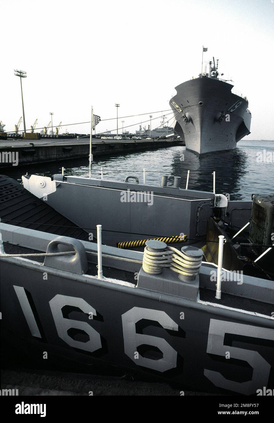 Das amphibische Kommandoschiff USS BLUE RIDGE (LCC-19) liegt am White ...