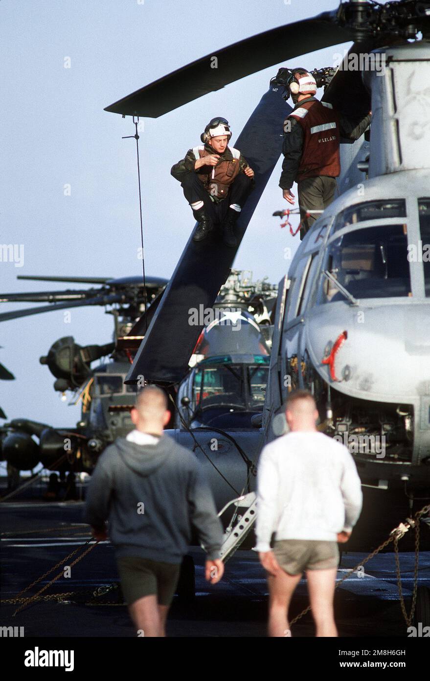 Mitglieder des Marine Medium Helicopter Squadron 261 (HMM-261) sind für ...