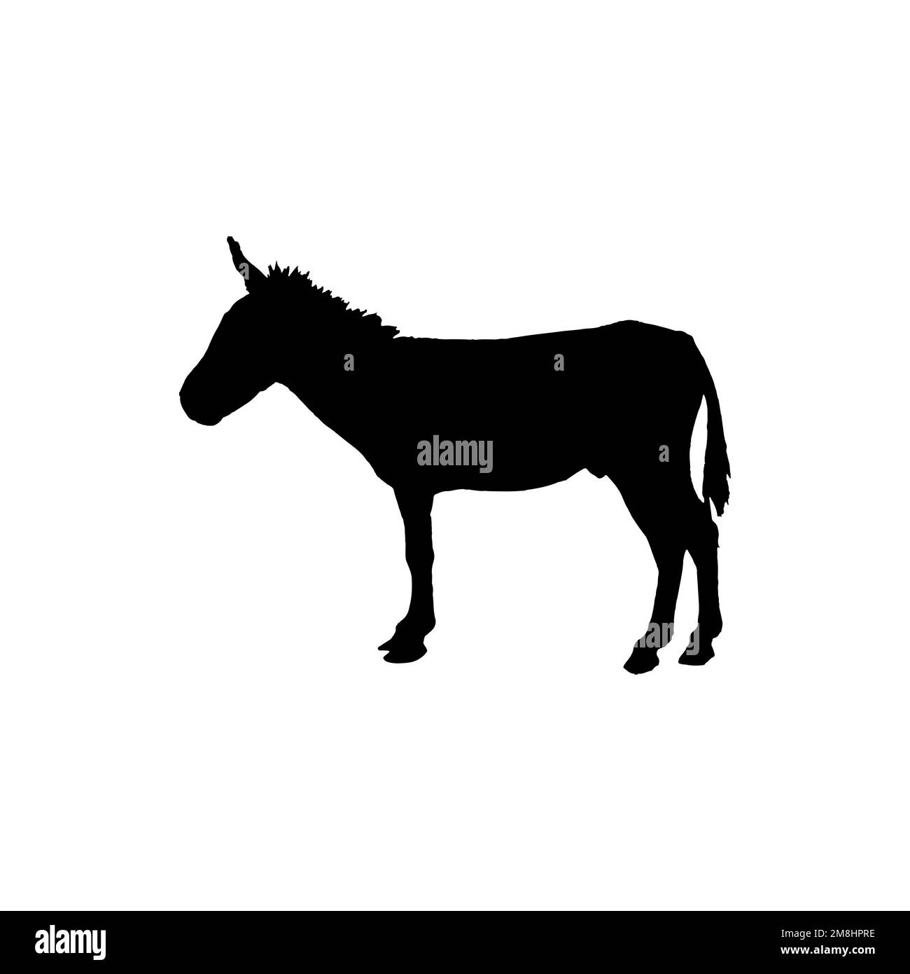 Donkey animal cartoon icon vector -Fotos und -Bildmaterial in hoher ...