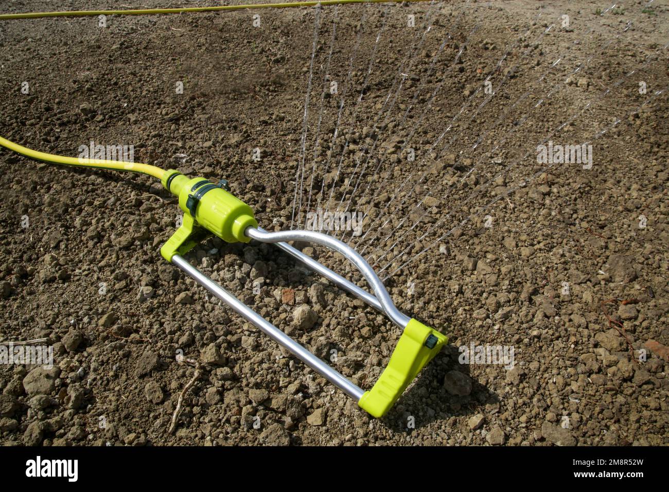 Vorgang der Bewässerung von Grassamen auf dem Boden. Gras Pflanzen ...