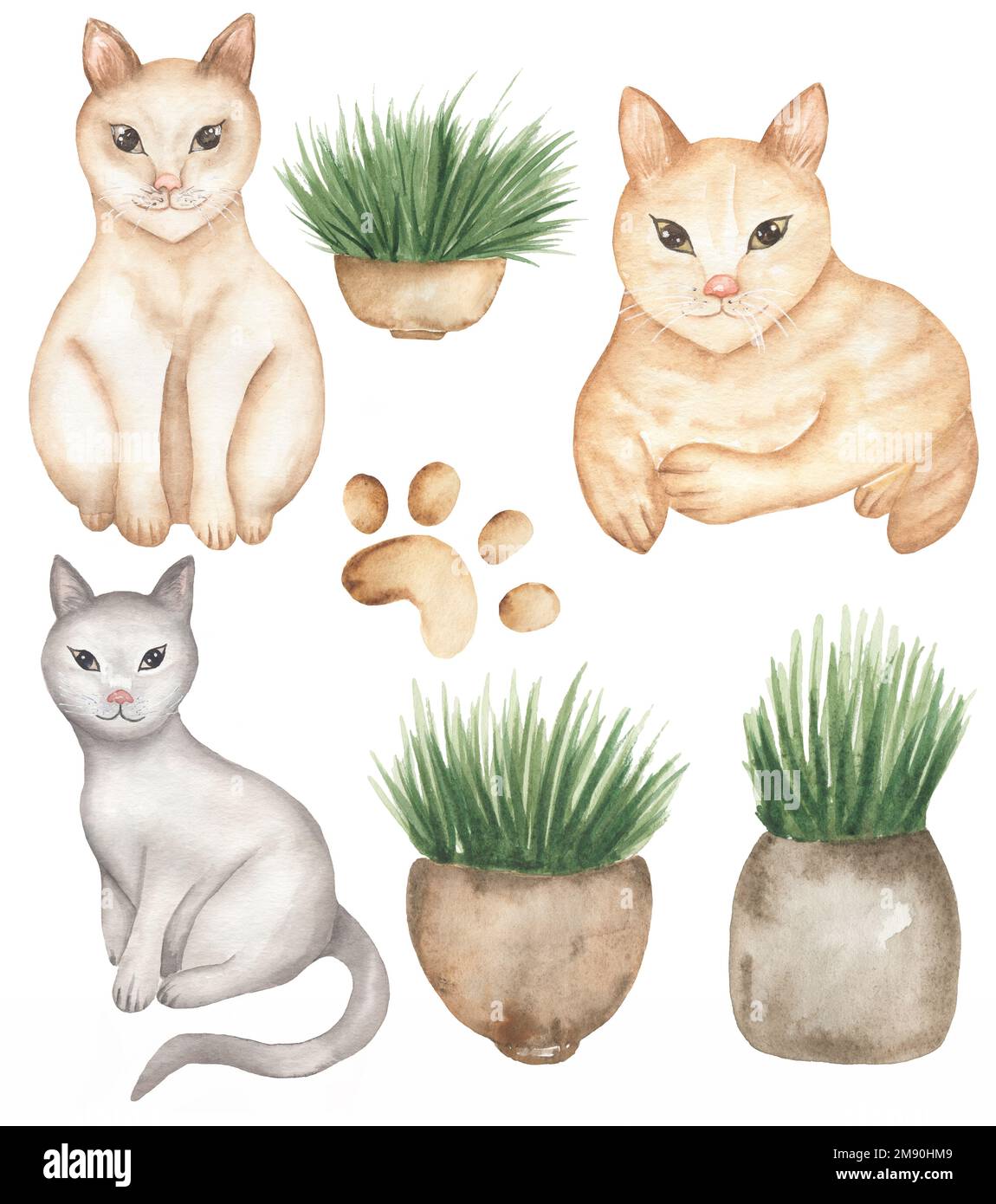 Aquarell Handgemalte Katzen Illustration Haustiere Clipart Süßes Sitzen Liegende Katze Clip