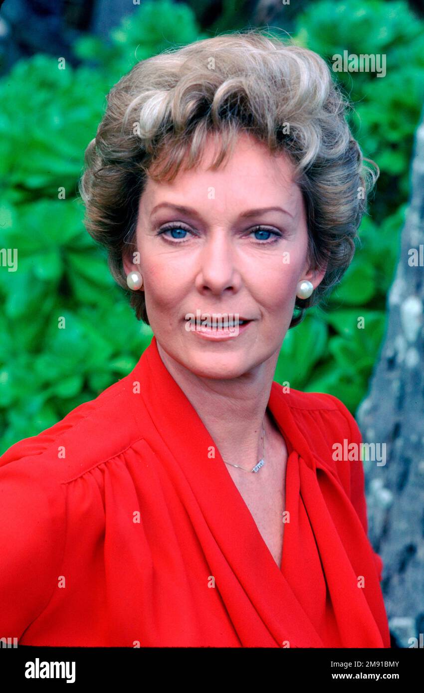 Vera miles 1980 -Fotos und -Bildmaterial in hoher Auflösung – Alamy