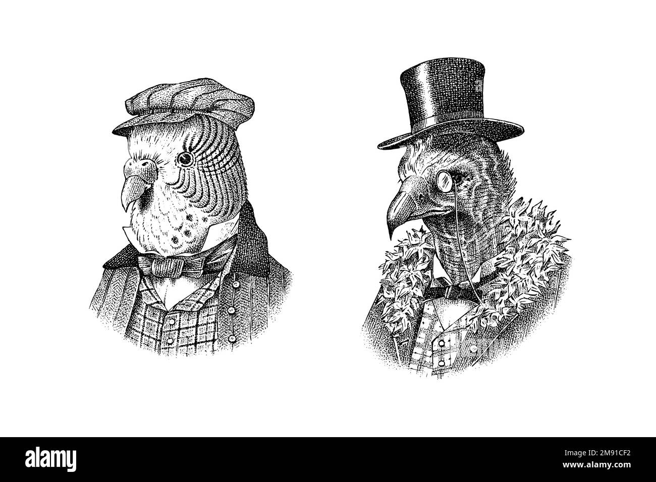 Papagei in menschlicher hand -Fotos und -Bildmaterial in hoher ...