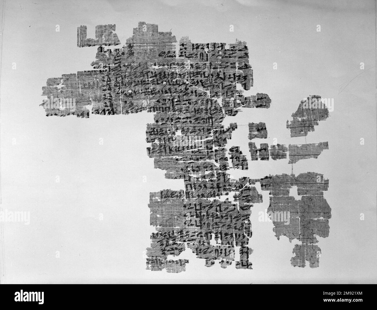 Teil eines historischen Textes Teil eines historischen Textes, ca. 1809 ...