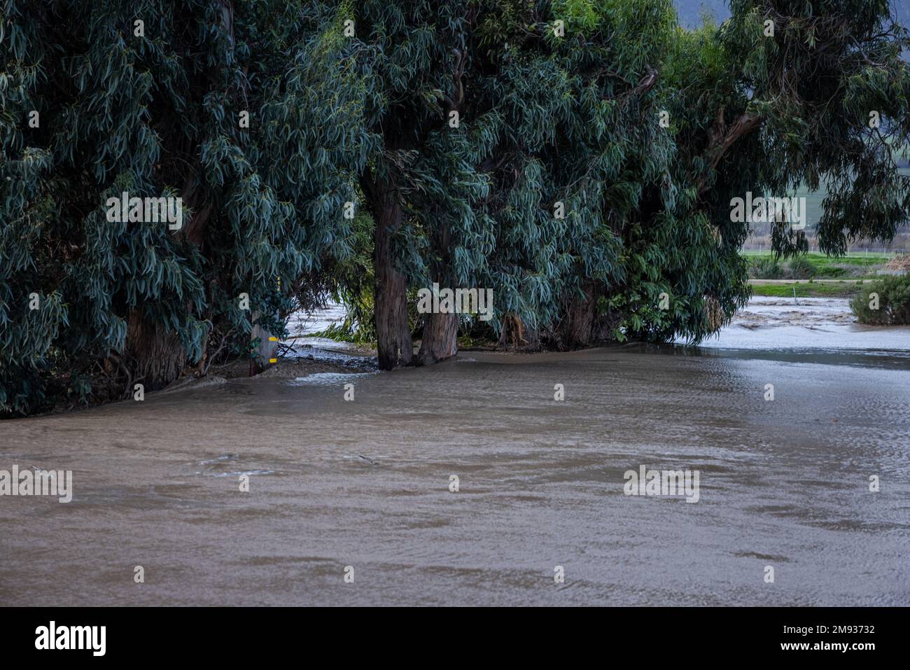 Mittleres hochwasserstadium -Fotos und -Bildmaterial in hoher Auflösung – Alamy
