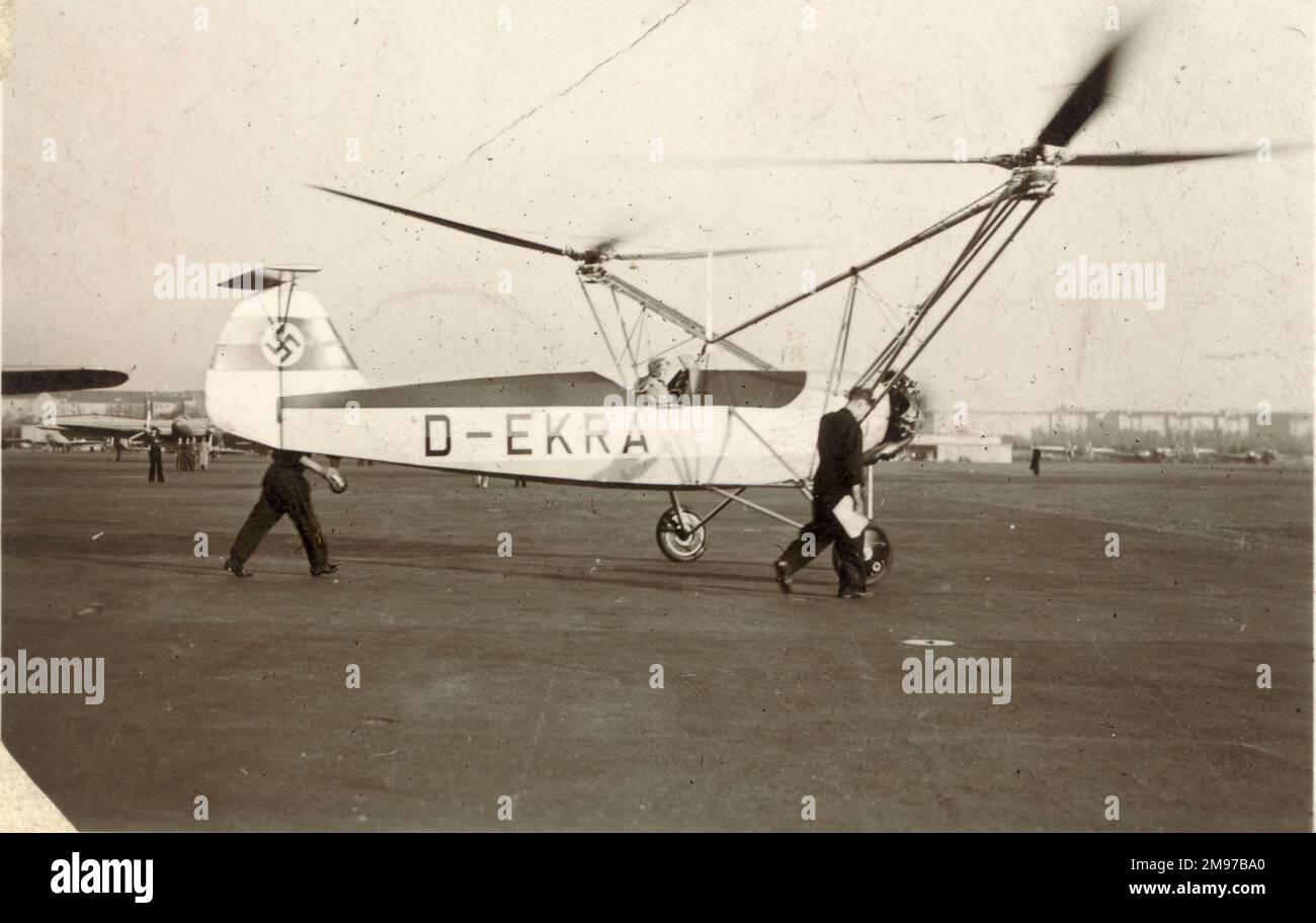 Focke achgelis -Fotos und -Bildmaterial in hoher Auflösung – Alamy