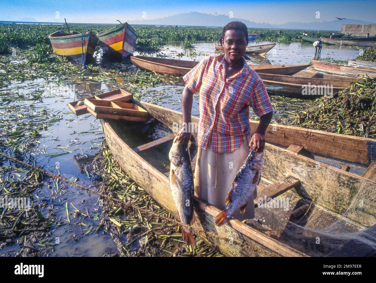 Uganda, Fischerei am Victoria-See. Wasserhyazinthen sind eine Pflanze ...