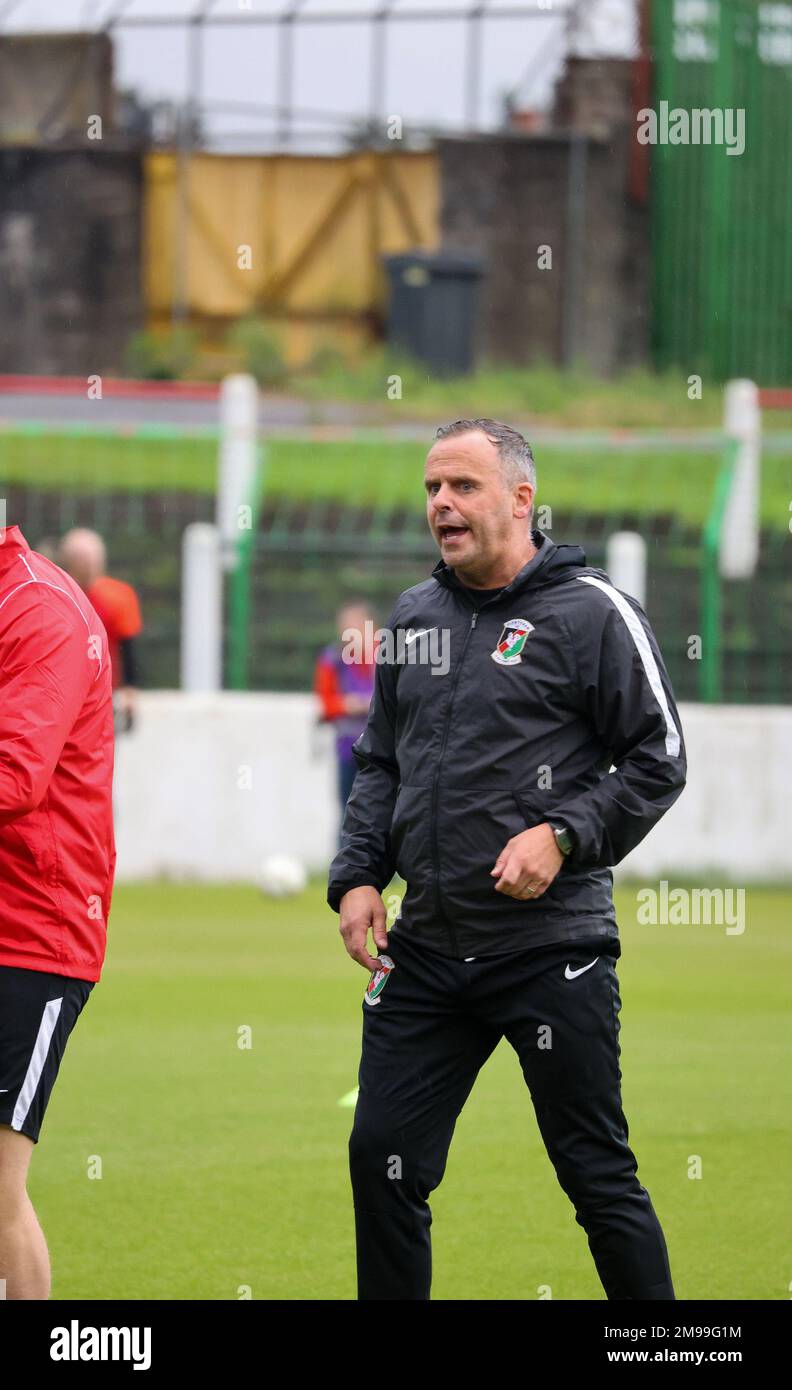 Rod mcaree irische liga -Fotos und -Bildmaterial in hoher Auflösung – Alamy