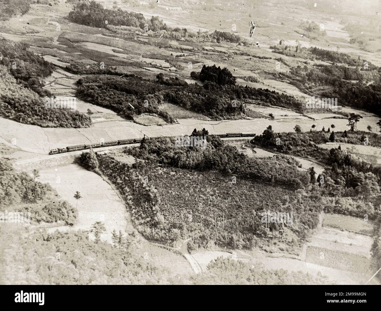 Forbes sempill -Fotos und -Bildmaterial in hoher Auflösung – Alamy