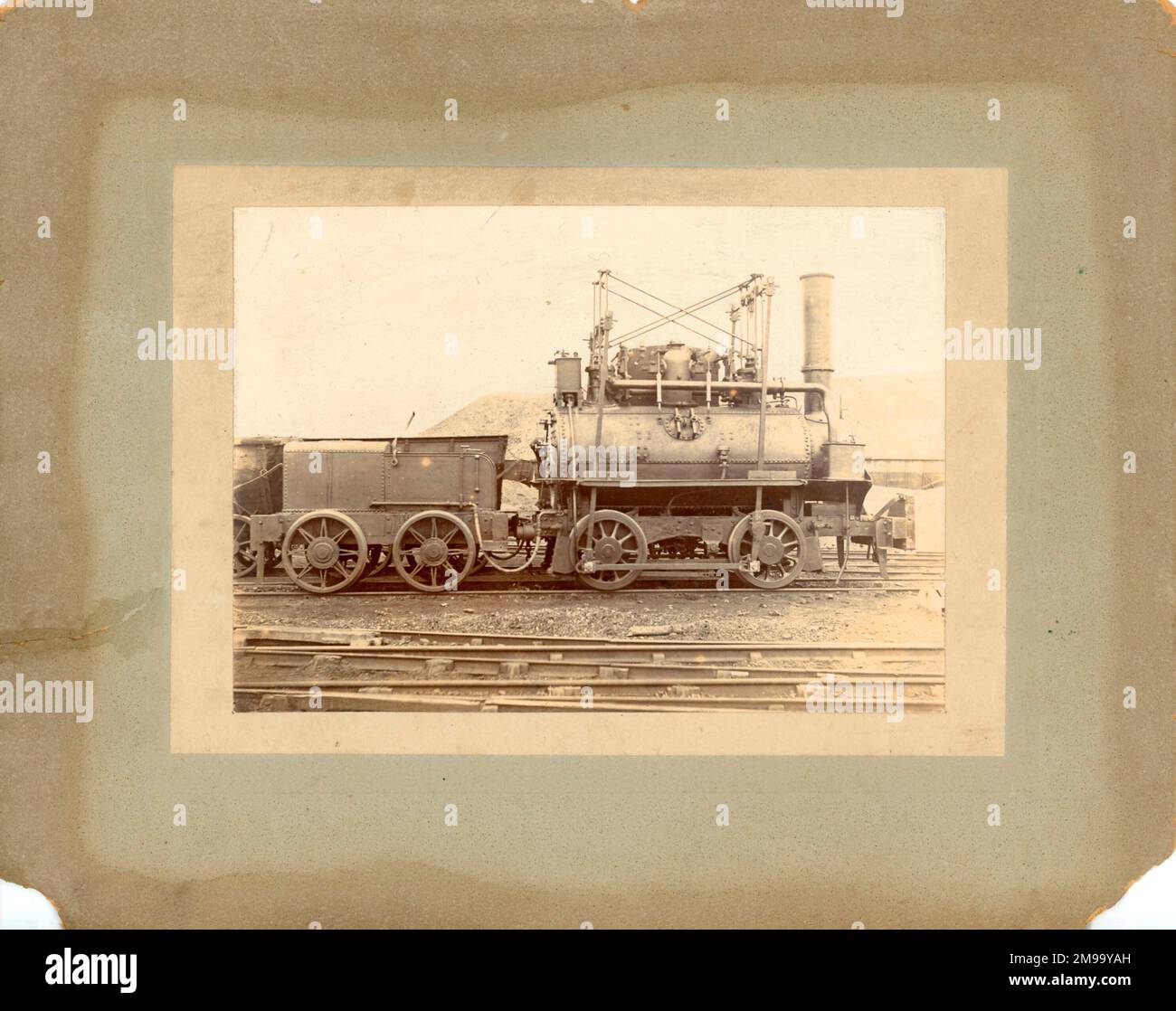 Moore fotograf -Fotos und -Bildmaterial in hoher Auflösung – Alamy