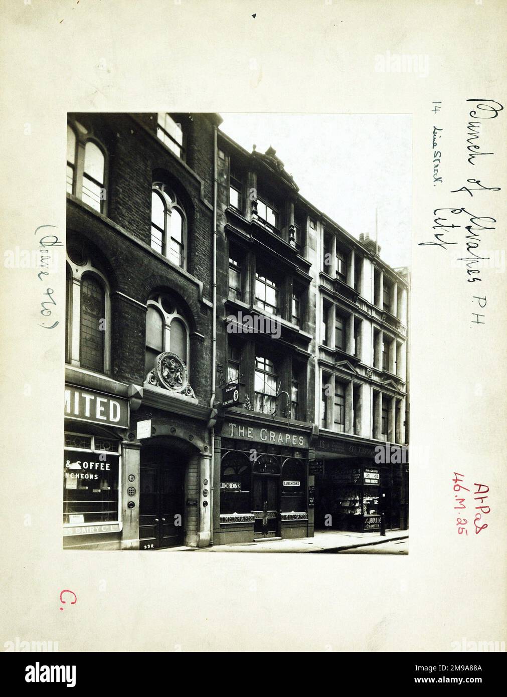 Foto von einem Haufen Trauben PH, City, London. Die Hauptseite des ...