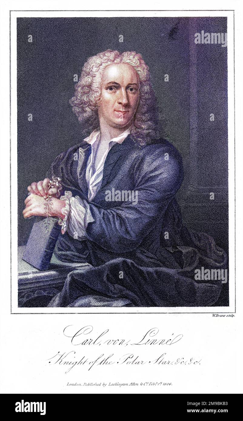 Carl linnaeus carl von linné -Fotos und -Bildmaterial in hoher ...