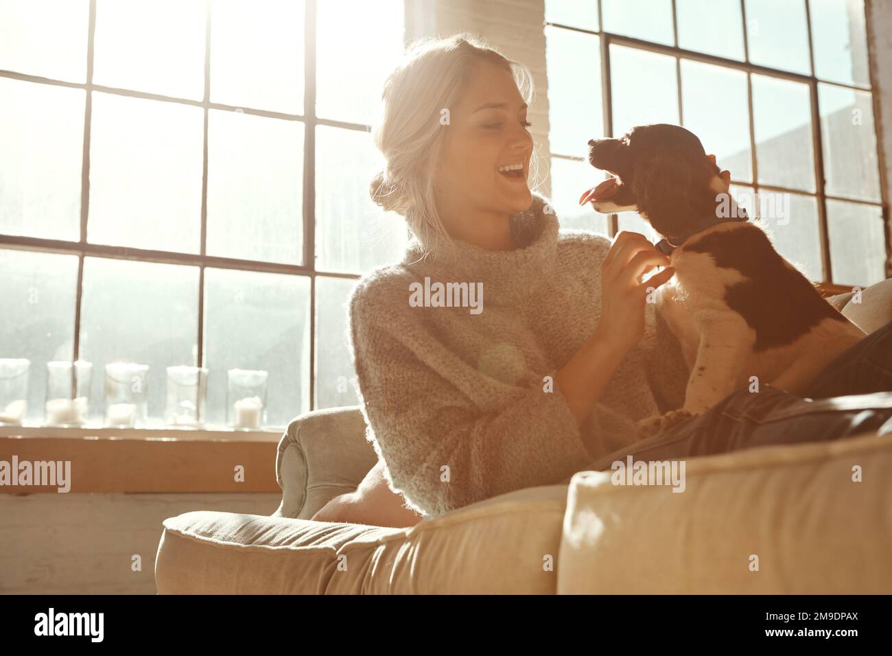 Mädchen mit hund sofa im wohnzimmer -Fotos und -Bildmaterial in hoher ...