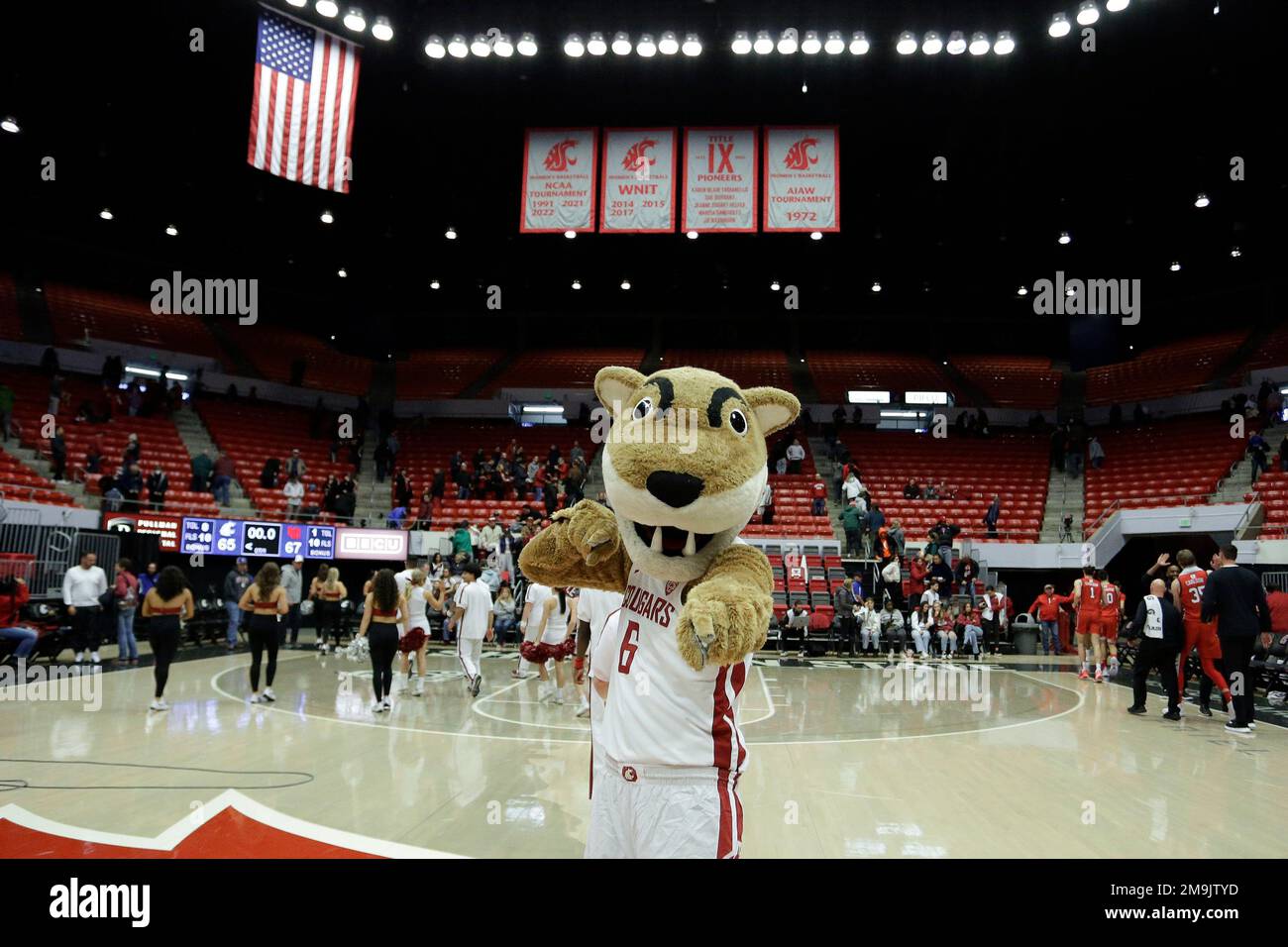 Washington State mascot Butch T. Cougar gestures after an NCAA college ...