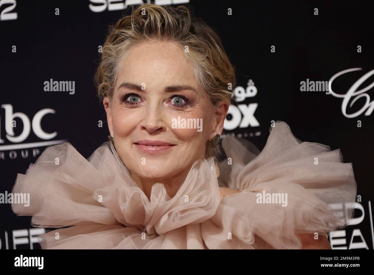 Sharon Stone poses for photographers upon arrival at the opening gala ...