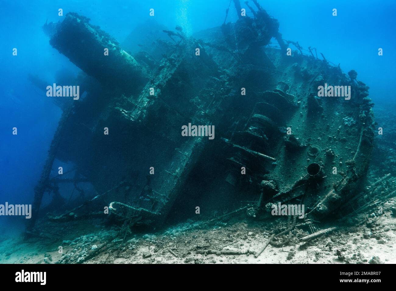Zweigeteiltes bild unterwasser fisch -Fotos und -Bildmaterial in hoher ...