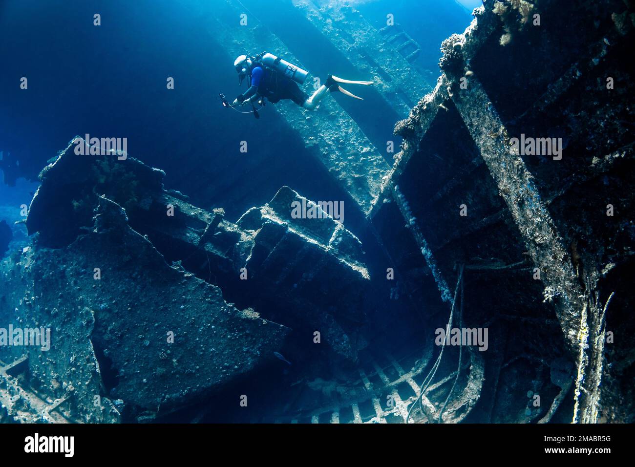 Zweigeteiltes bild unterwasser fisch -Fotos und -Bildmaterial in hoher ...