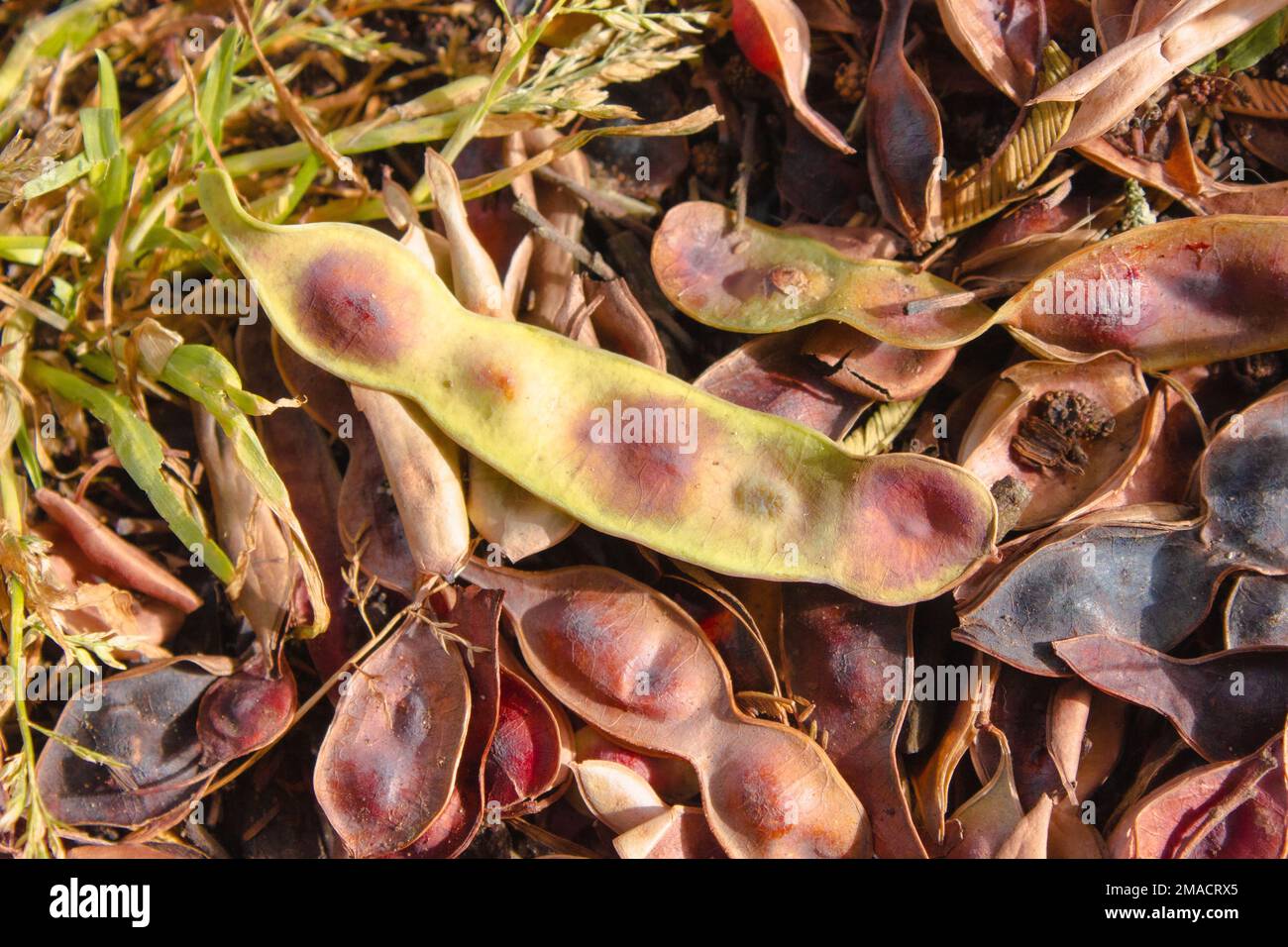 Paisajes de america -Fotos und -Bildmaterial in hoher Auflösung – Alamy