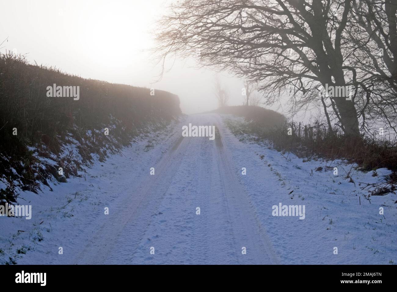 Eis, überfrierender Nebel und gefrorener Schnee auf der Landstraße im ...