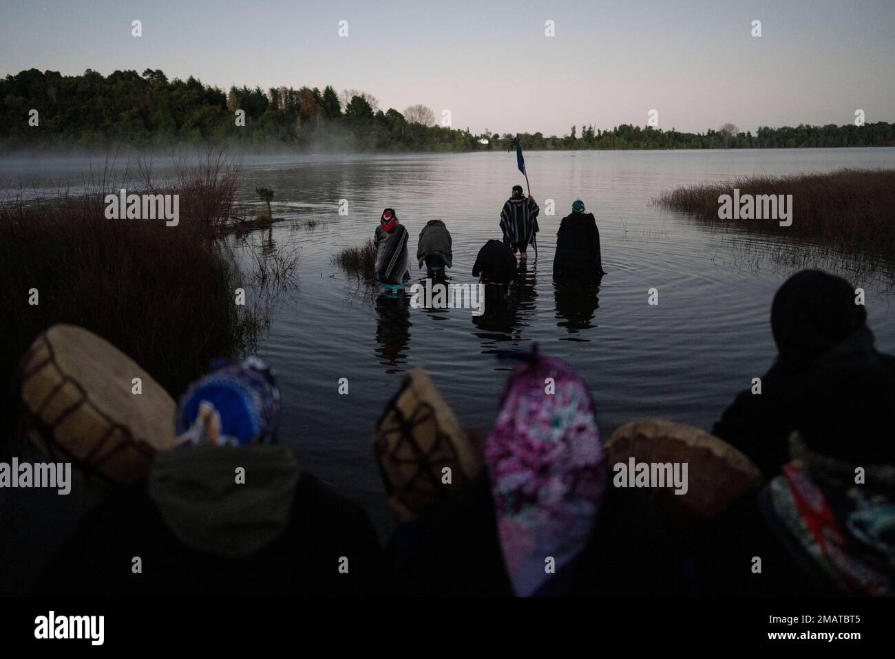 Mapuche people take a ceremonial dip in Lake Rupanko during a ...