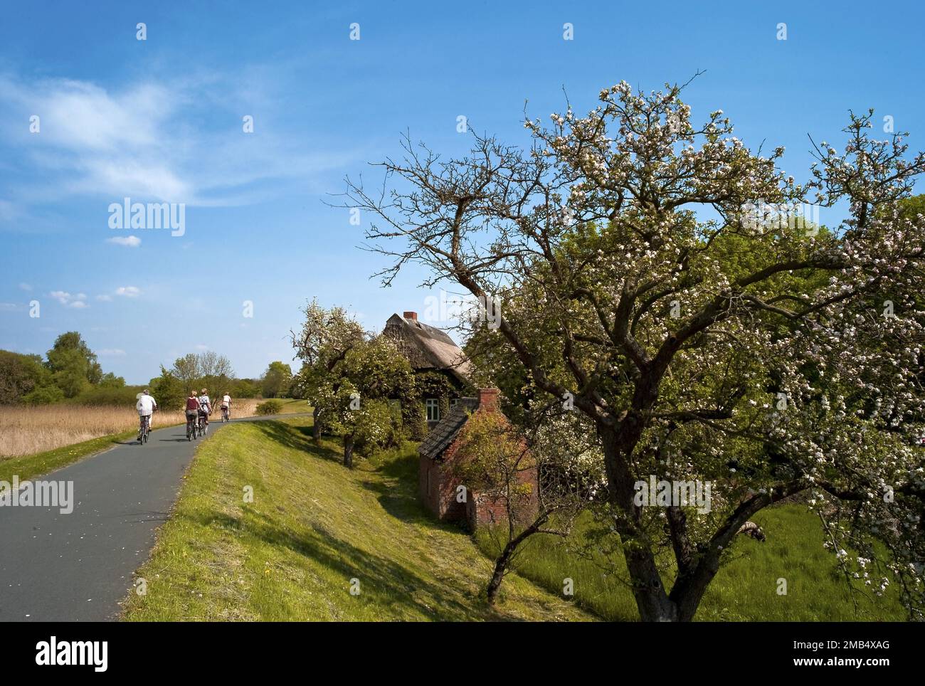 Strohdach und Brotbackhaus hinter der Lesum-Lesbe in Werderland, Bremen ...