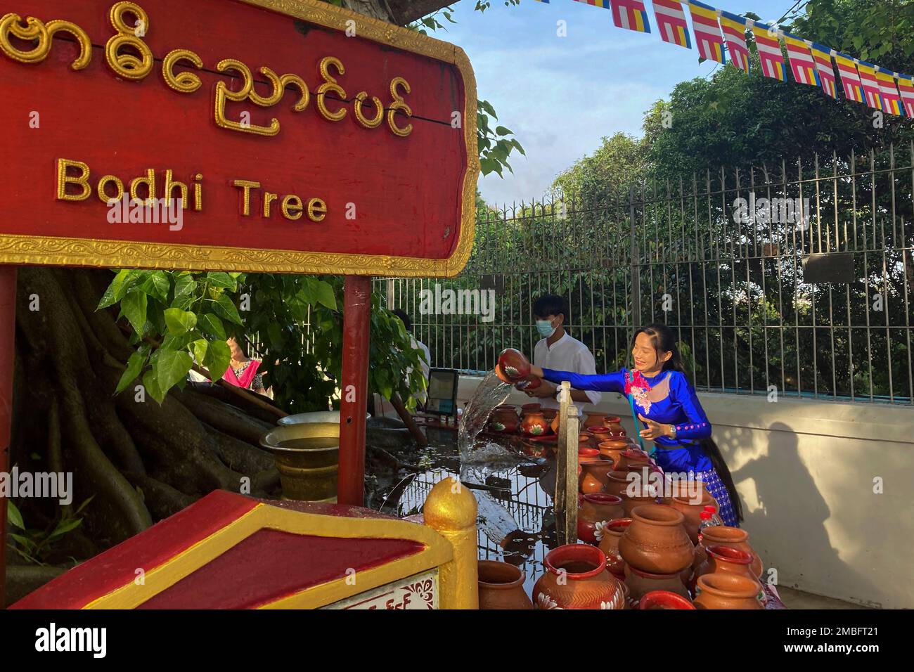 Buddhist devotees pour water at the foot of a banyan tree during the Full Moon day of Kasone ...