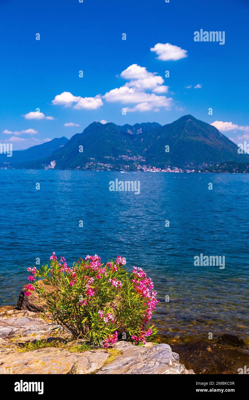 Die Insel Isola Superiore oder Isola dei Pescatori oder die Insel der ...