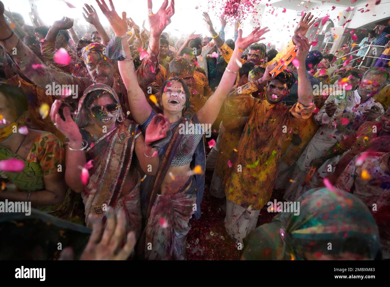 Devotees cheer as colored powder and flower petals are thrown on them ...